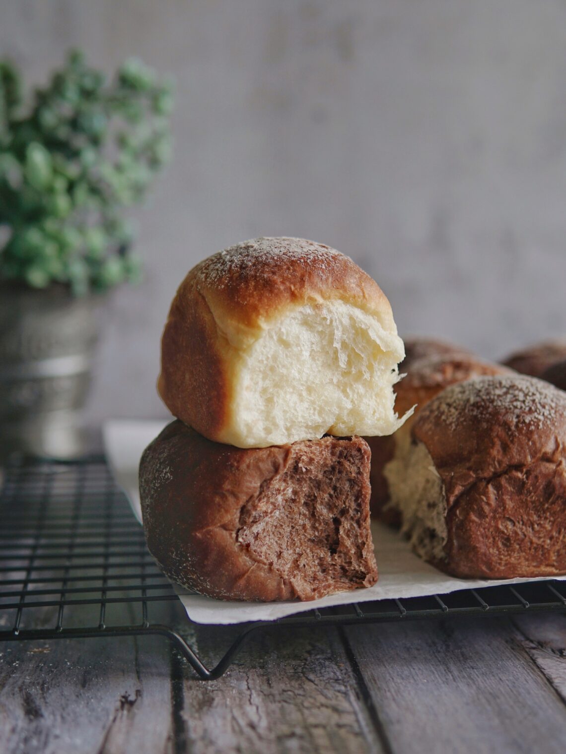 Ultra Soft Tangzhong Milk & Chocolate Buns Recipe - The Bakeanista